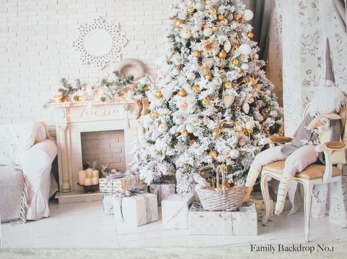 Family Christmas Backgrounds Toronto|Top-Rated Photo Studio