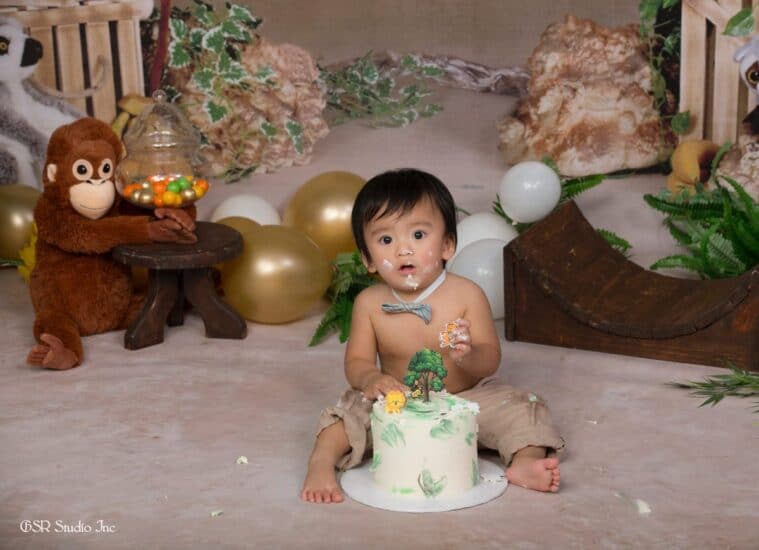 Wild One cake smash photography