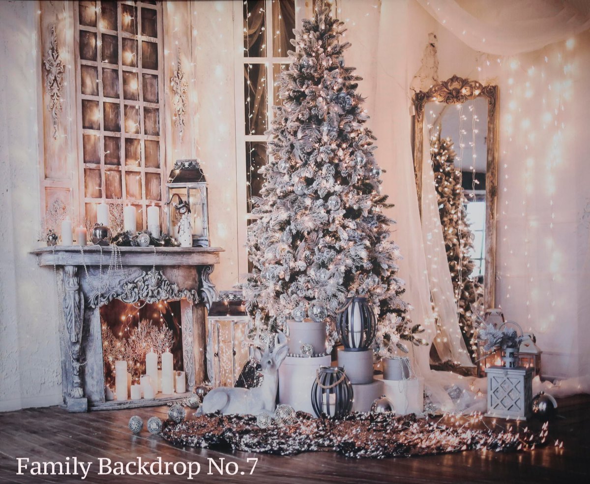 Family Christmas Backgrounds Toronto|Top-Rated Photo Studio