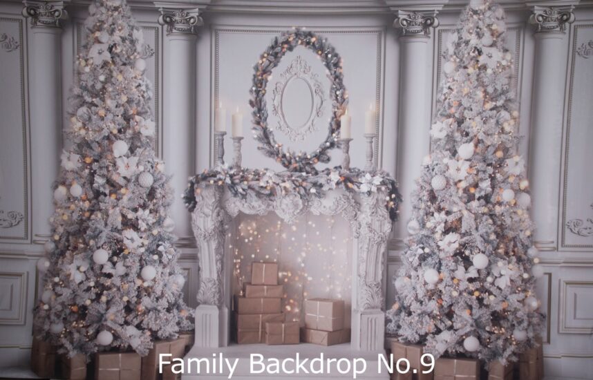 Family Christmas Backgrounds Toronto|Top-Rated Photo Studio