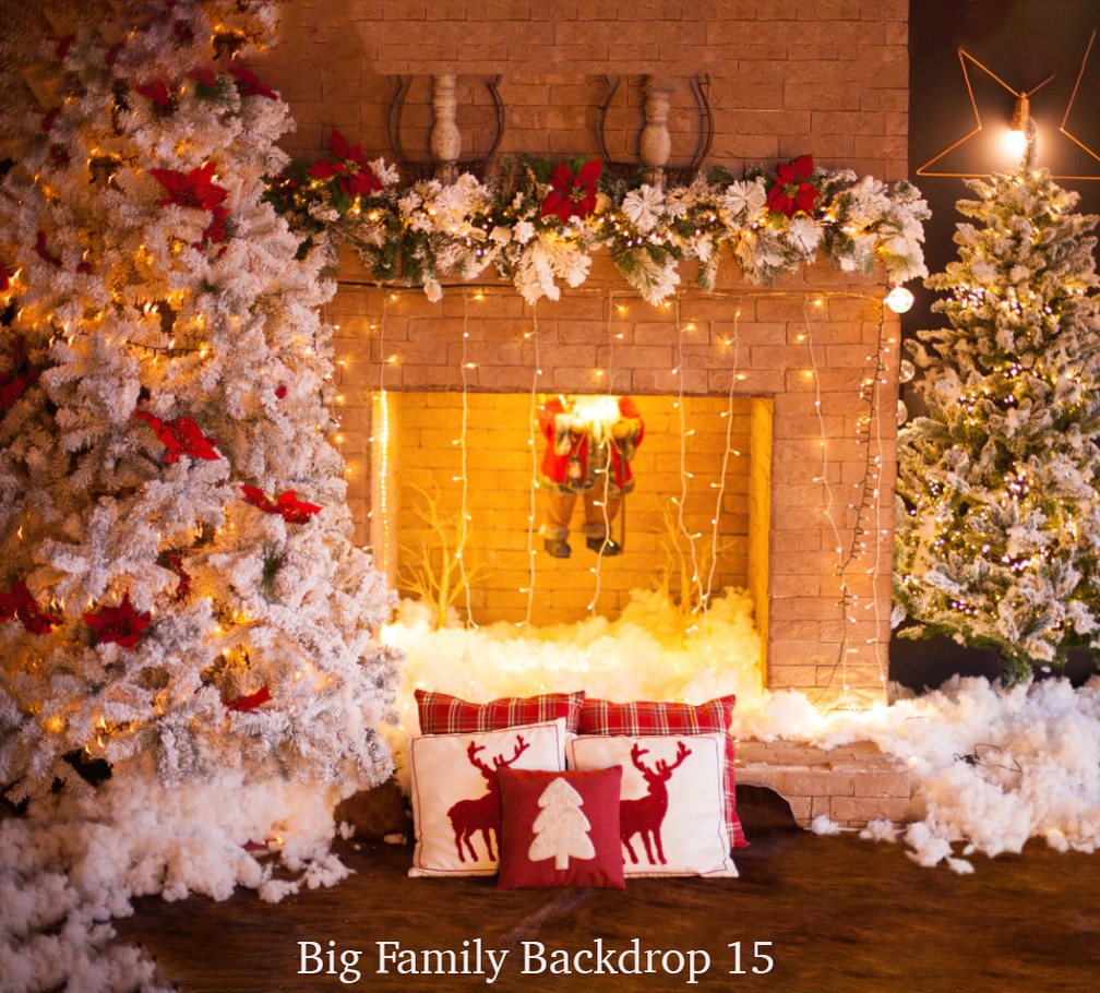 Family Christmas Backgrounds Toronto|Top-Rated Photo Studio