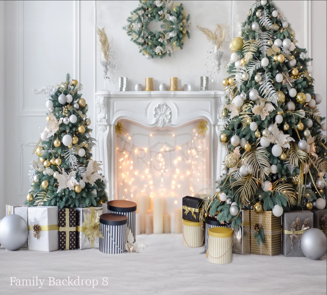 Family Christmas Backgrounds Toronto|Top-Rated Photo Studio