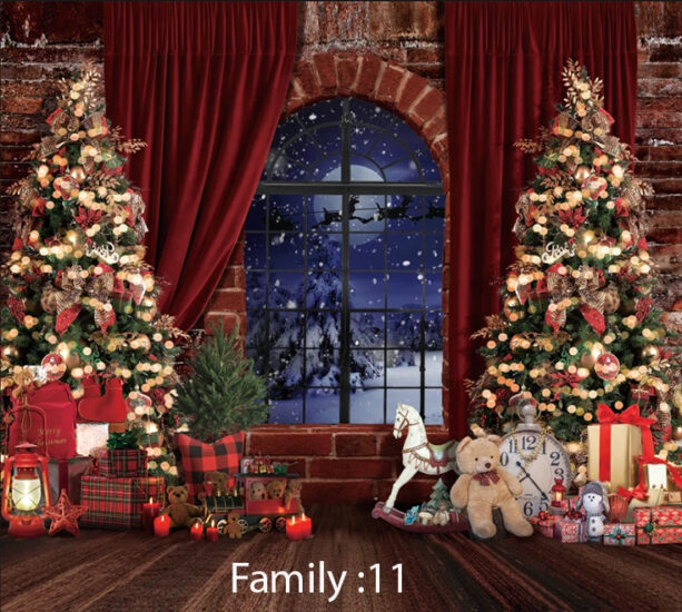 Family Christmas Backgrounds Toronto|Top-Rated Photo Studio